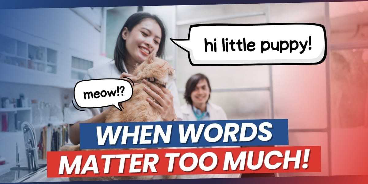 When Words Matter Too Much… or Not at All - Mike Mandel Hypnosis